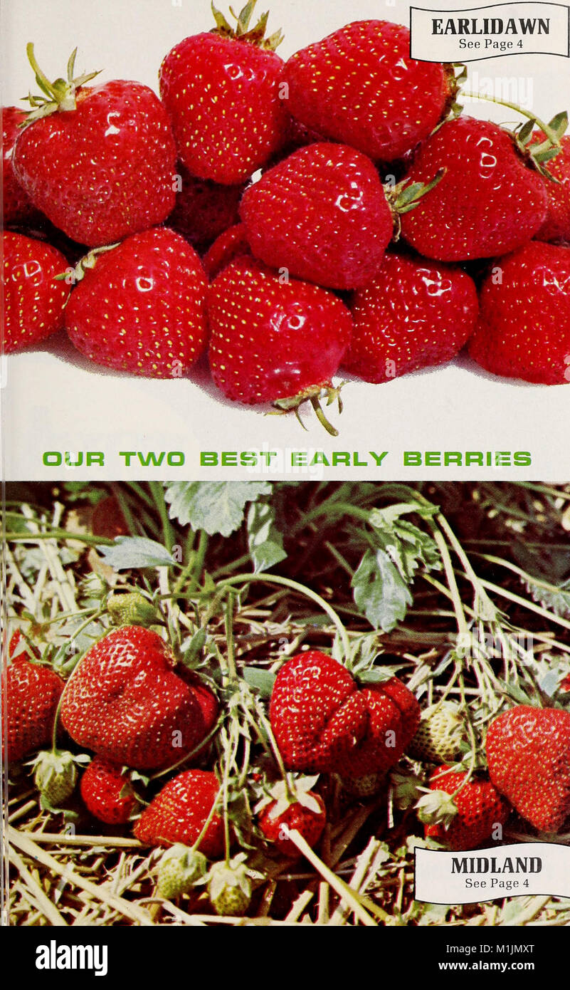 Allenâ€™s 83rd Book of Berries (1968) compiles comprehensive details on ...