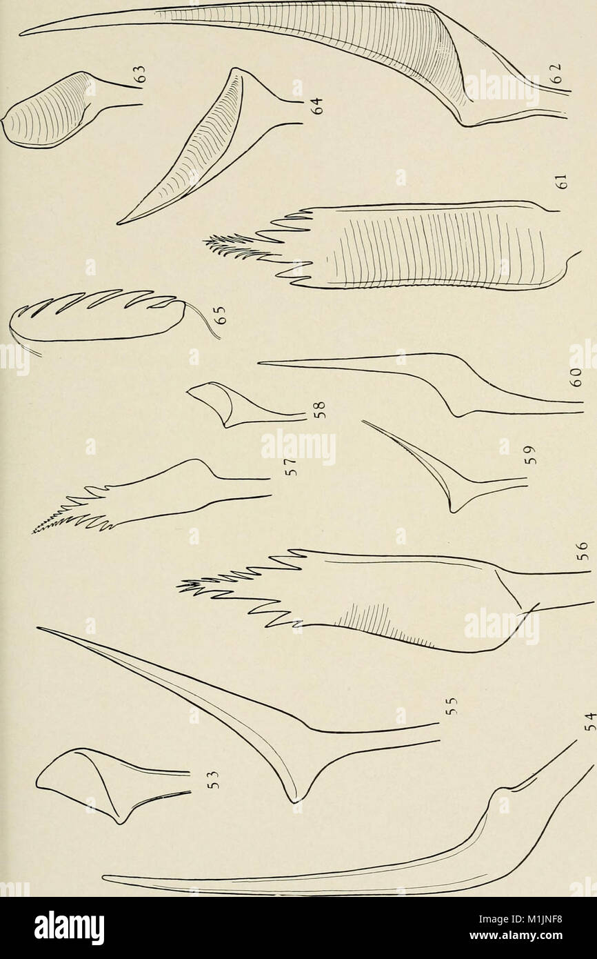 This 1944 report documents the findings and activities from the Allan ...