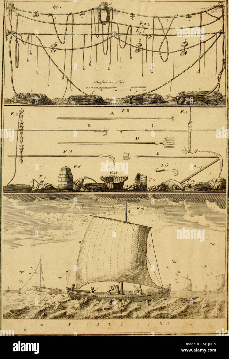 This 1791 work discusses fisheries and the history of fish used for ...