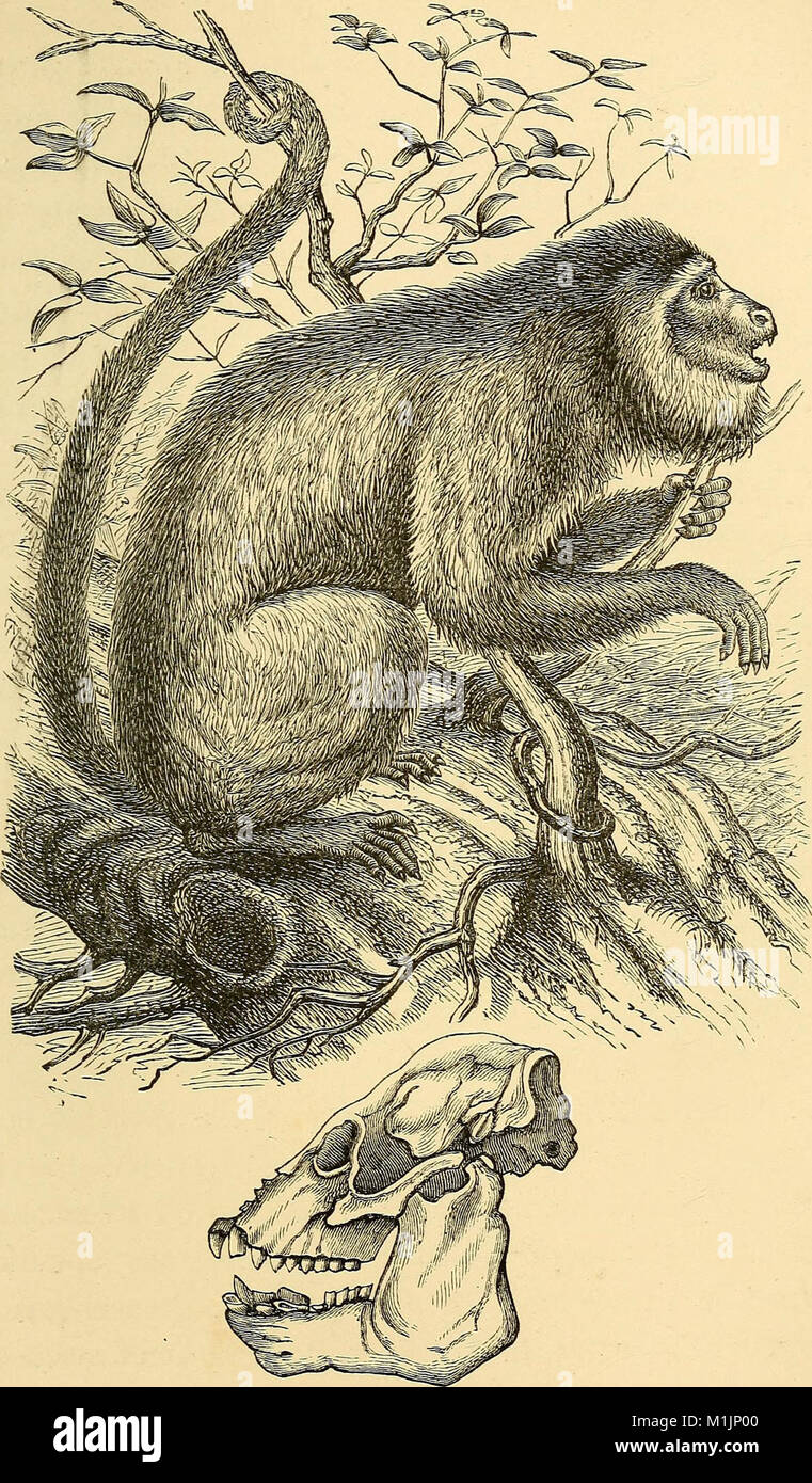 This 1872 work critically examines Charles Darwin's theory of evolution ...