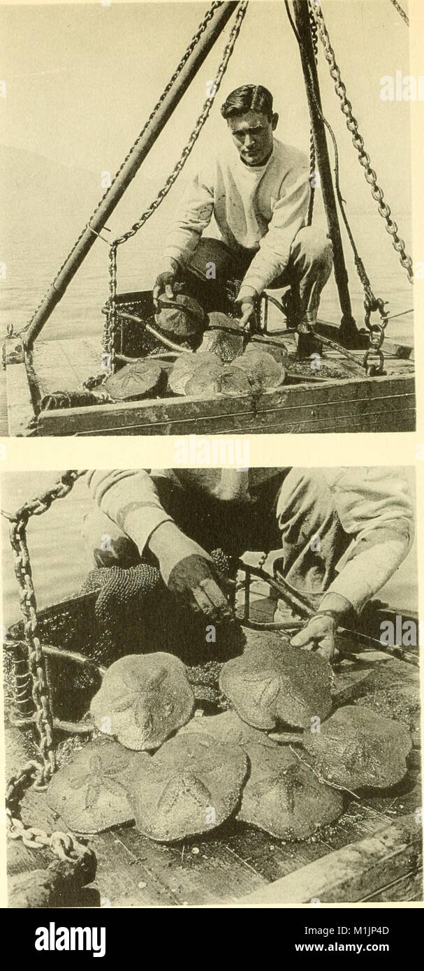 The Allan Hancock Pacific Expeditions (1943) chronicles scientific ...