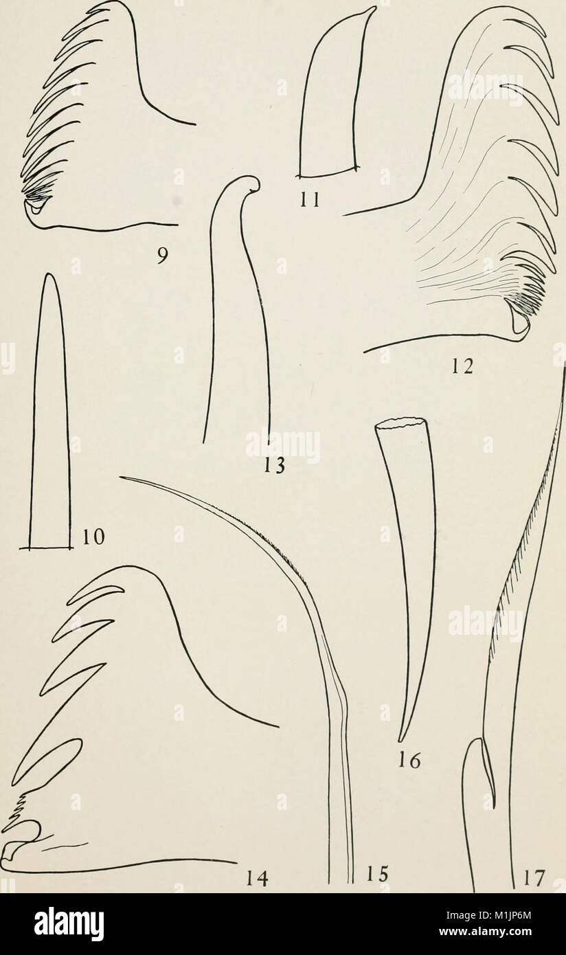 The 'Allan Hancock Pacific Expeditions' (1939) documents the research ...