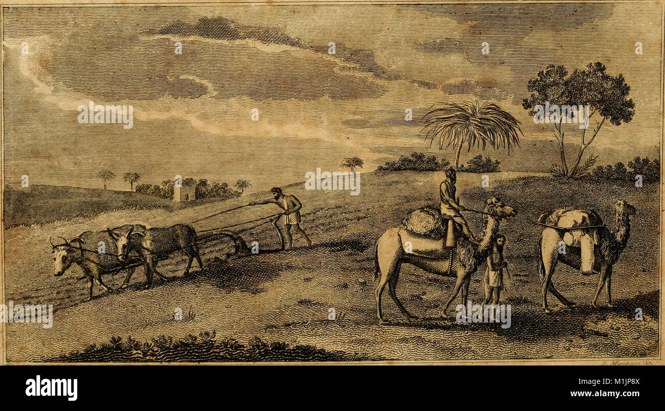 This 1817 narrative recounts the loss of the American brig Commerce ...