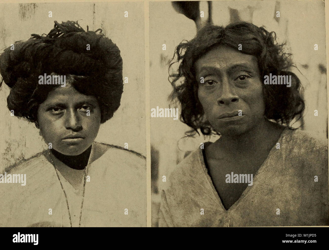 Early maya agriculture hi-res stock photography and images - Alamy