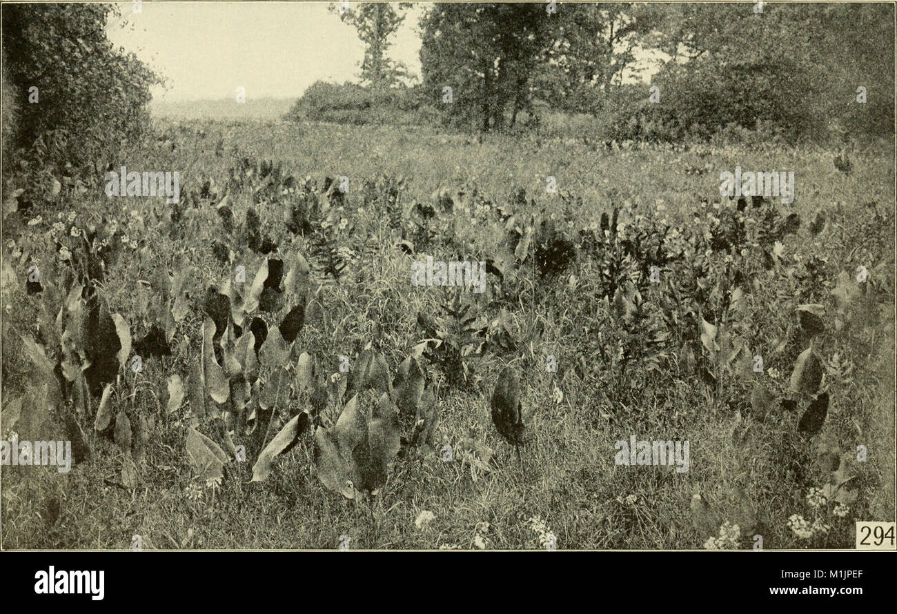 Chicago region hi-res stock photography and images - Alamy