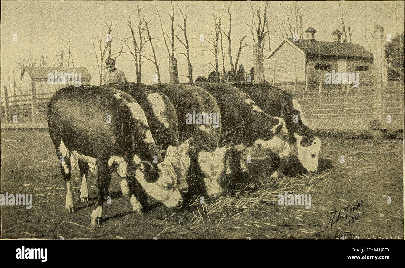 This 1903 text on animal breeding covers the principles and techniques ...