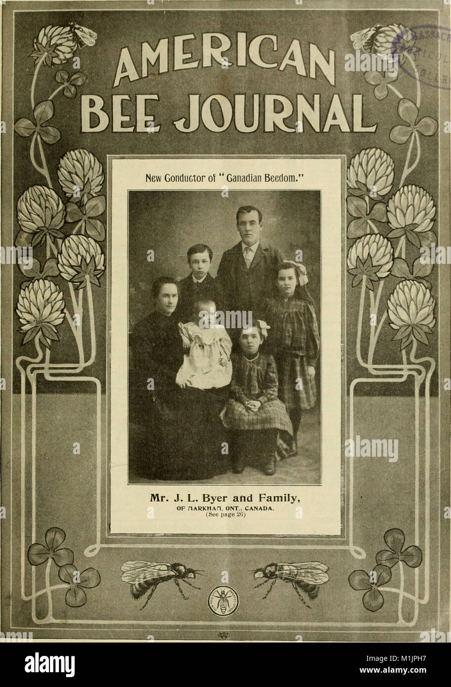 American bee journal hi-res stock photography and images - Alamy