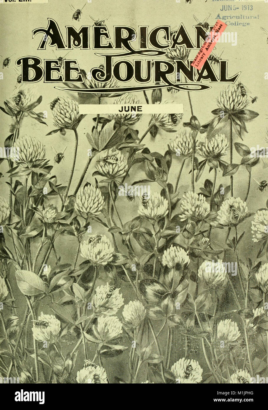 American bee journal hi-res stock photography and images - Alamy