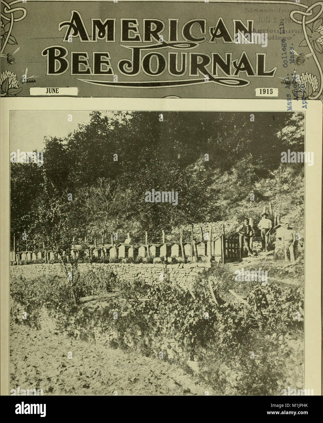 The American Bee Journal (1915) focuses on beekeeping, honey production ...