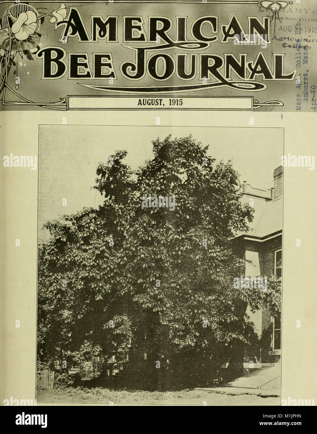 The 'American Bee Journal' (1915) is a periodical dedicated to ...