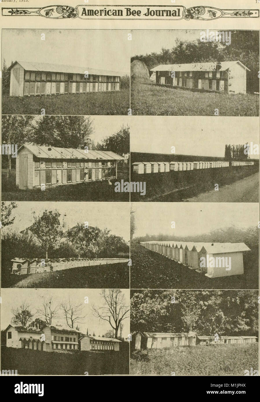 The 1915 edition of the American Bee Journal covers topics related to ...