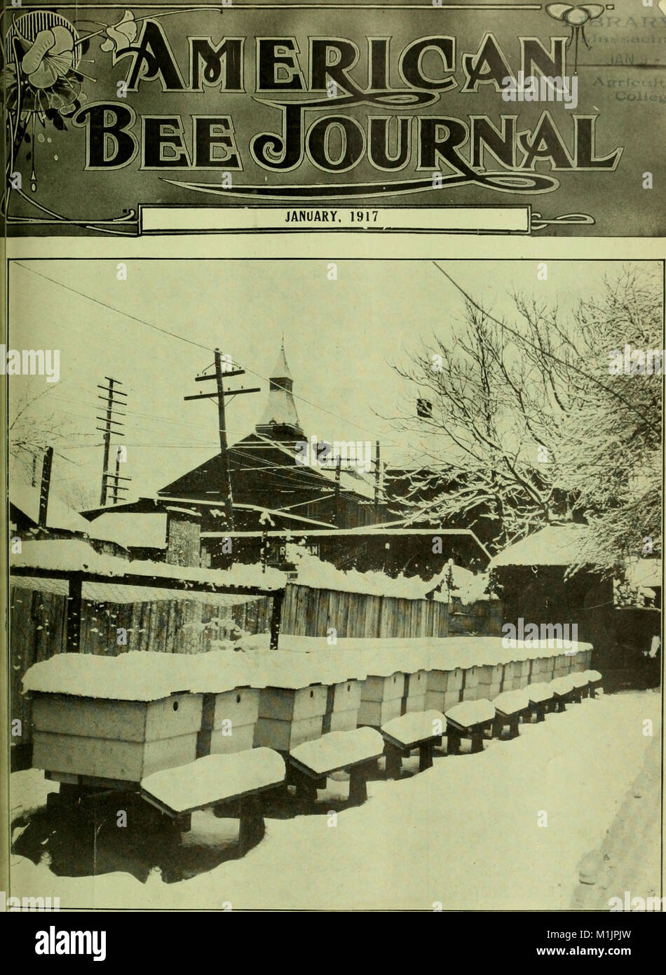 American bee journal hi-res stock photography and images - Alamy