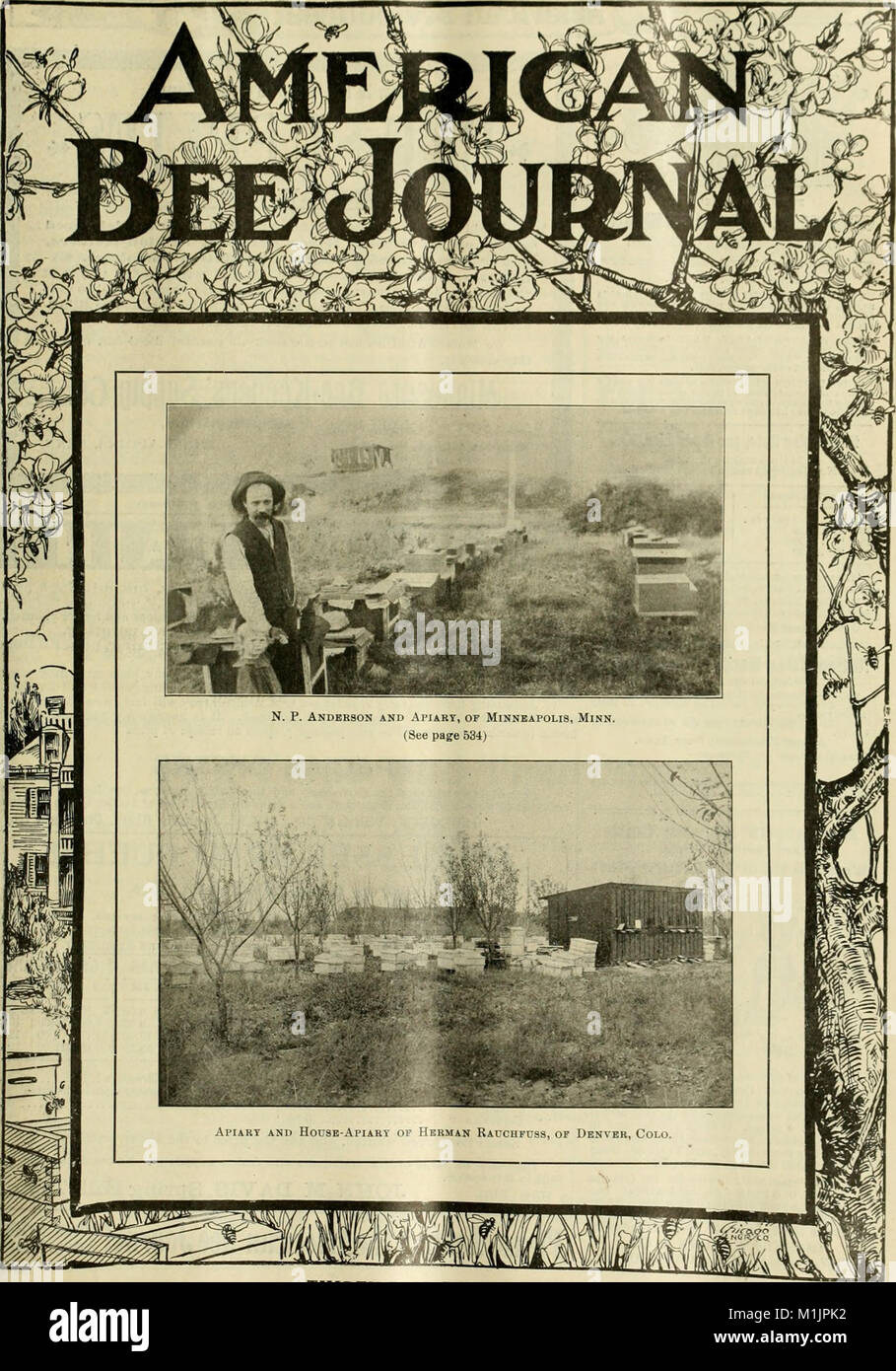 American bee journal hi-res stock photography and images - Alamy