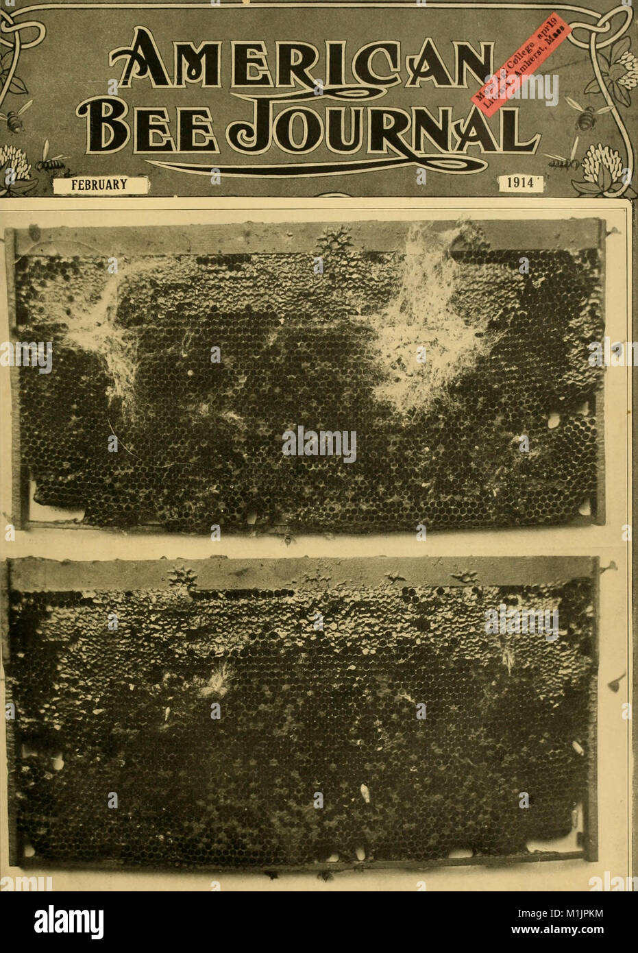 American bee journal (1914) (18117303111 Stock Photo - Alamy