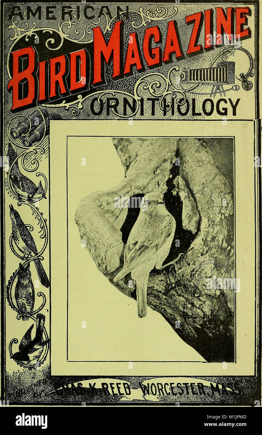 The *American Bird Magazine* (1905) focuses on ornithology, providing ...