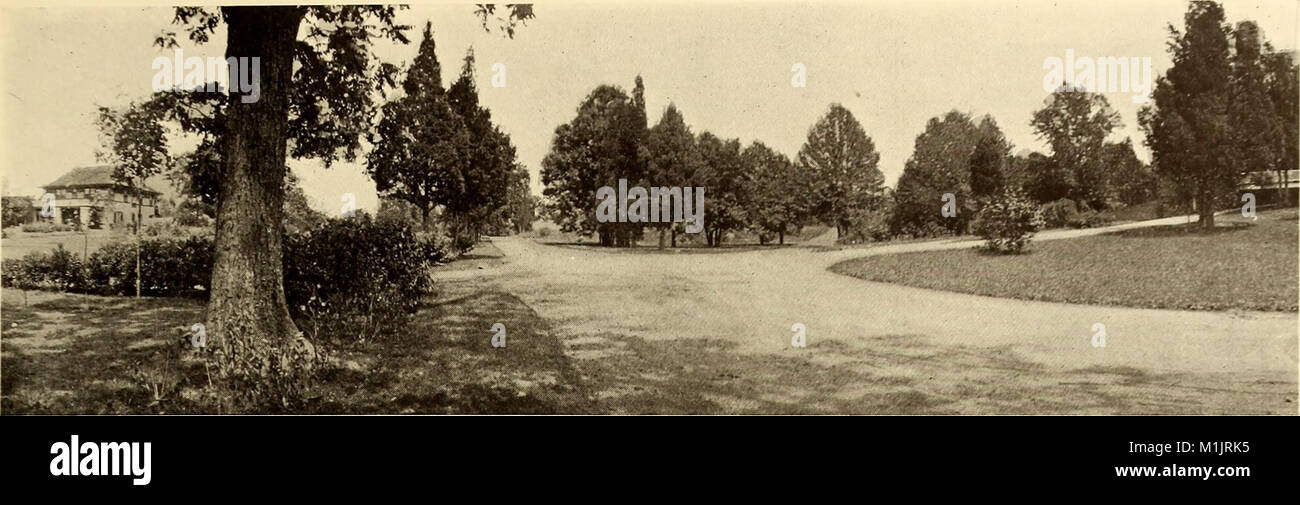 'American Homes and Gardens' (1908) showcases the architecture, design ...