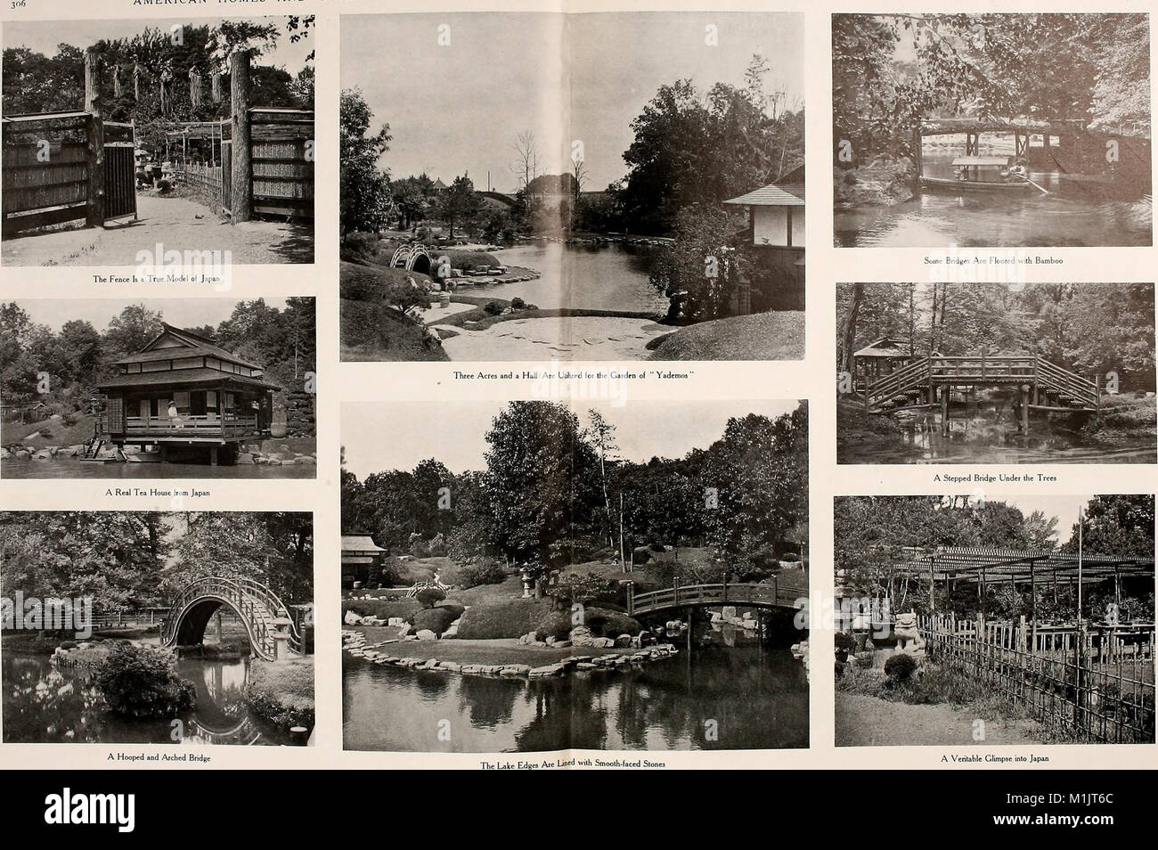 The 1908 'American Homes and Gardens' showcases architectural designs ...