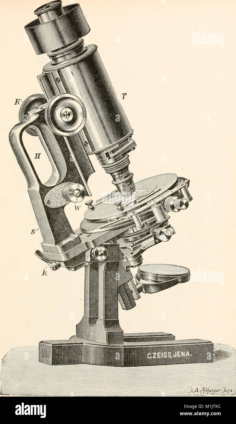 Microscopical photograph hi-res stock photography and images - Alamy