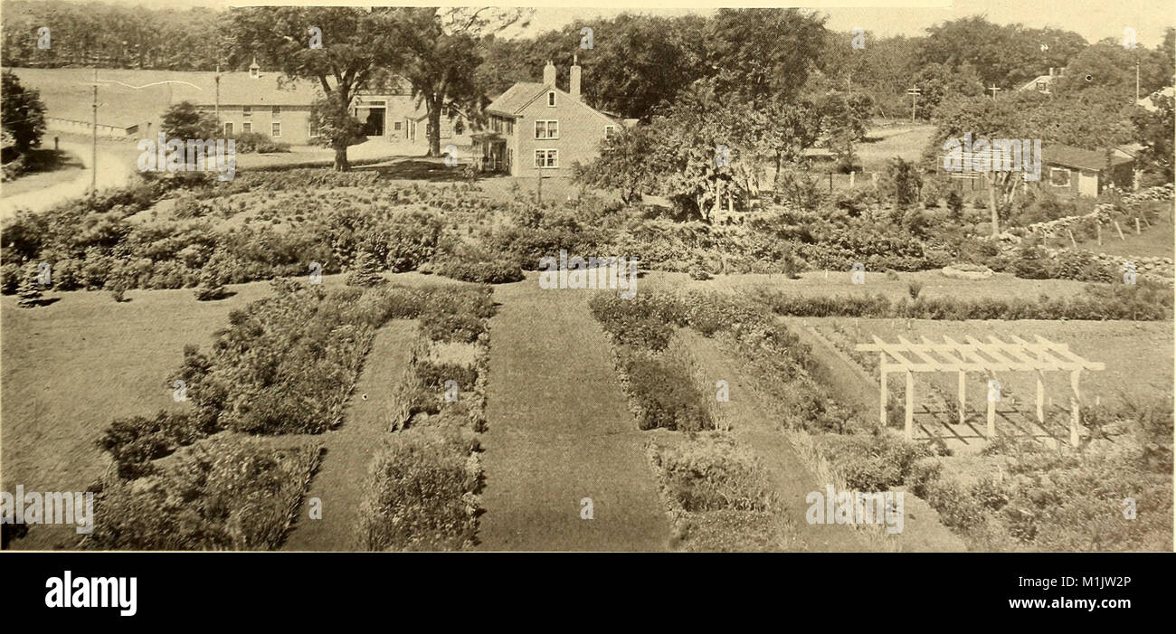 American Homes and Gardens (1910) explores design trends, landscaping ...