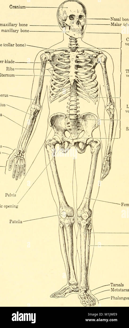 Animal Biology (1938) covers a wide range of topics related to the ...