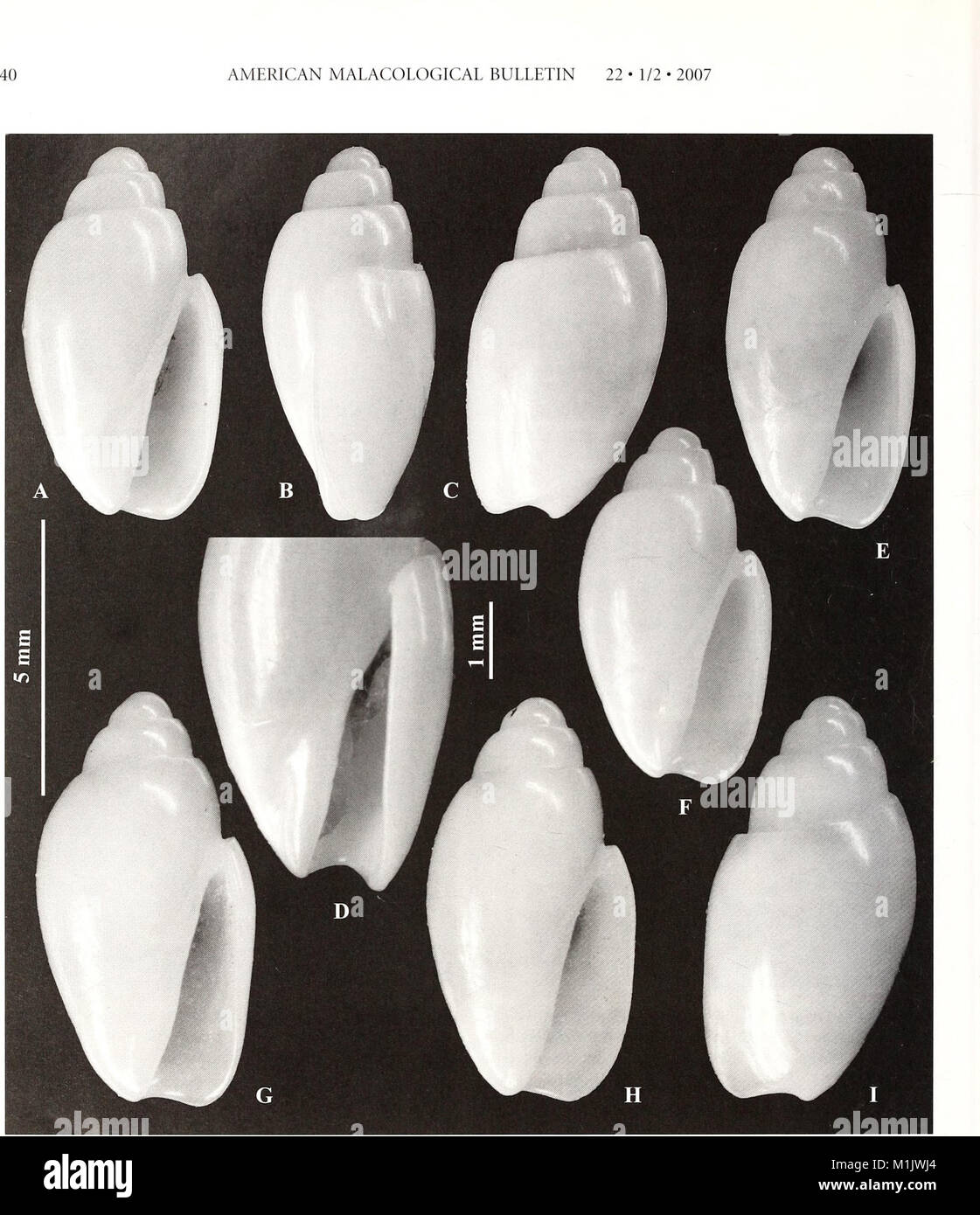 The 'American Malacological Bulletin' (2007) provides scientific ...