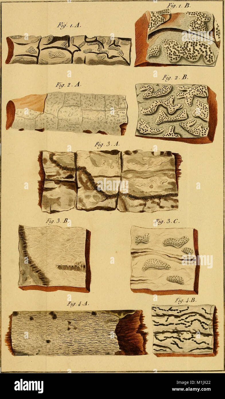A scientific journal from 1829, documenting significant discoveries and ...