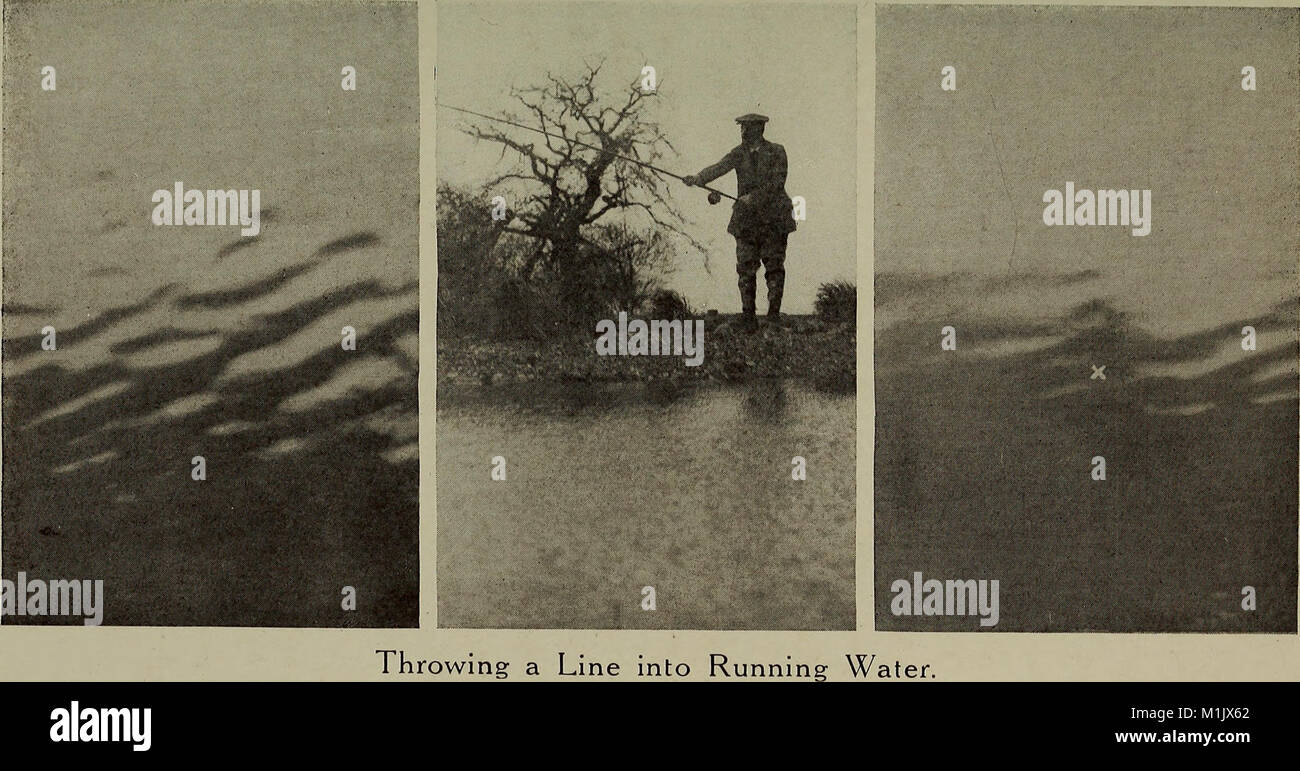 *Animal Life Under Water* (1920) explores marine ecosystems, detailing ...