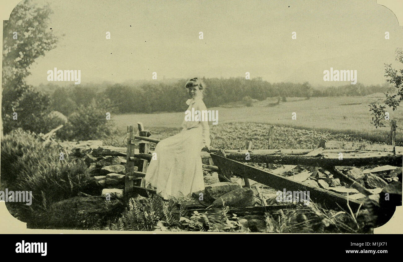 American stallions history hi-res stock photography and images - Alamy