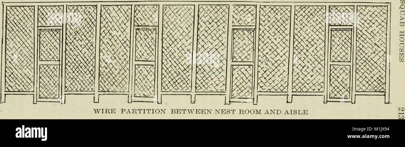 American squab culture; a practical work on squab culture covering ...