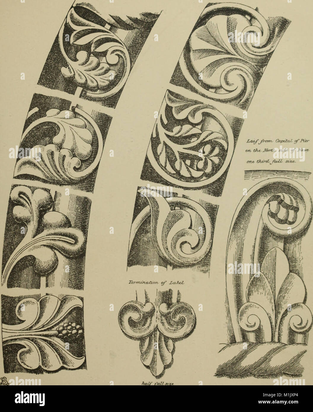 This detailed analysis of Gothic architecture illustrates over 700 ...