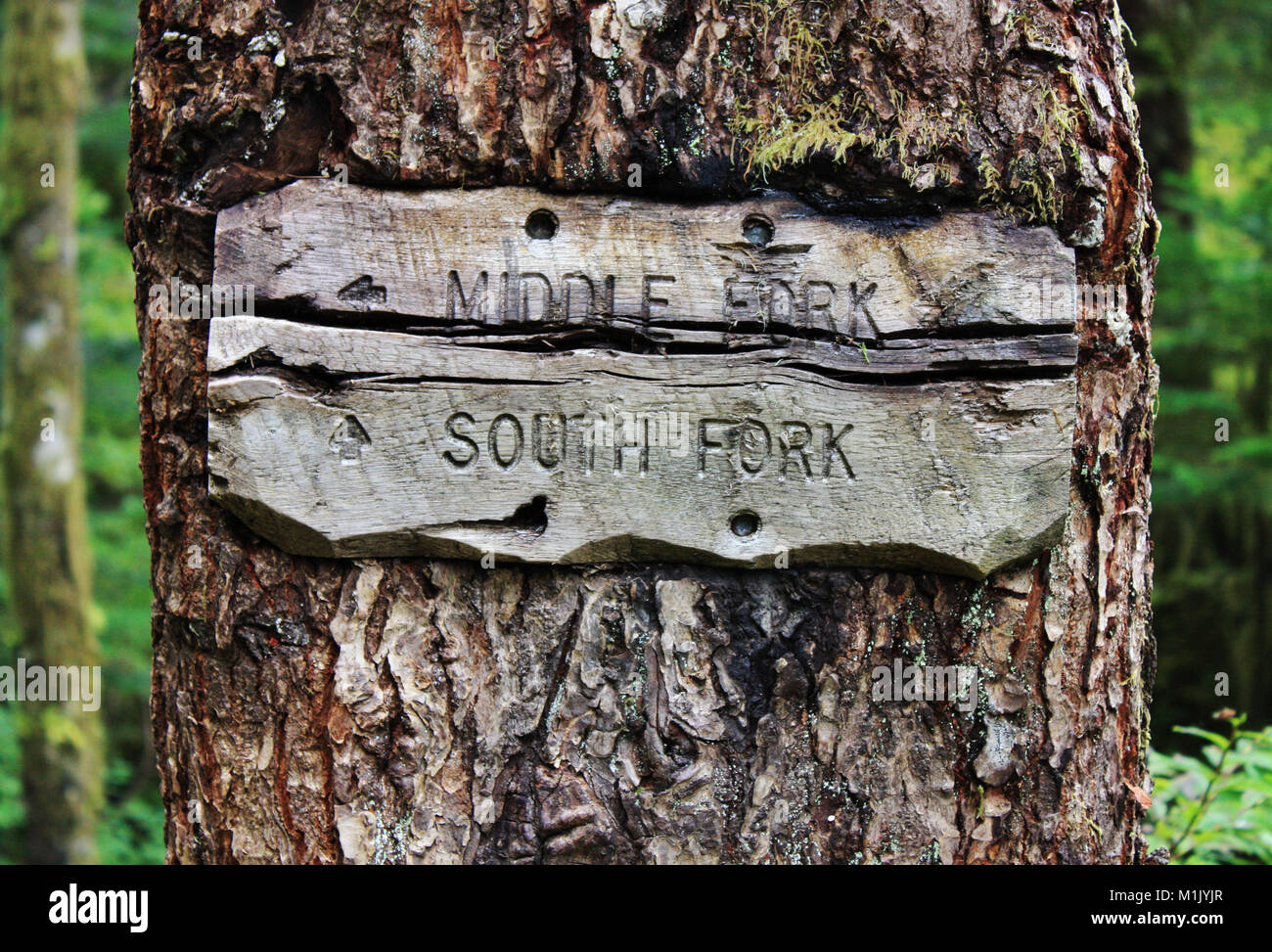 The trail sign for the South and Middle fork cascade river trails in ...
