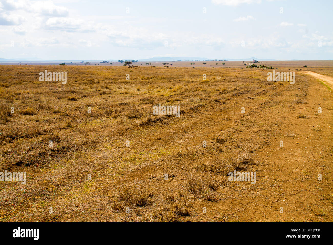 Serengeti National Park, Tanzanian national park in the Serengeti ...