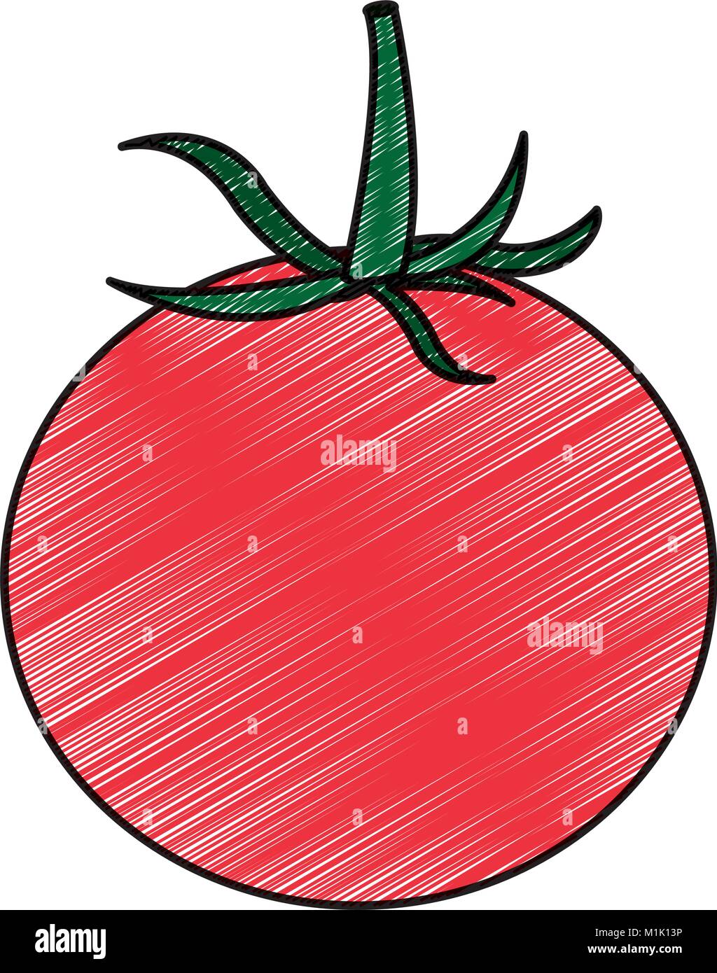 Isolated tomato design Stock Vector Image & Art - Alamy