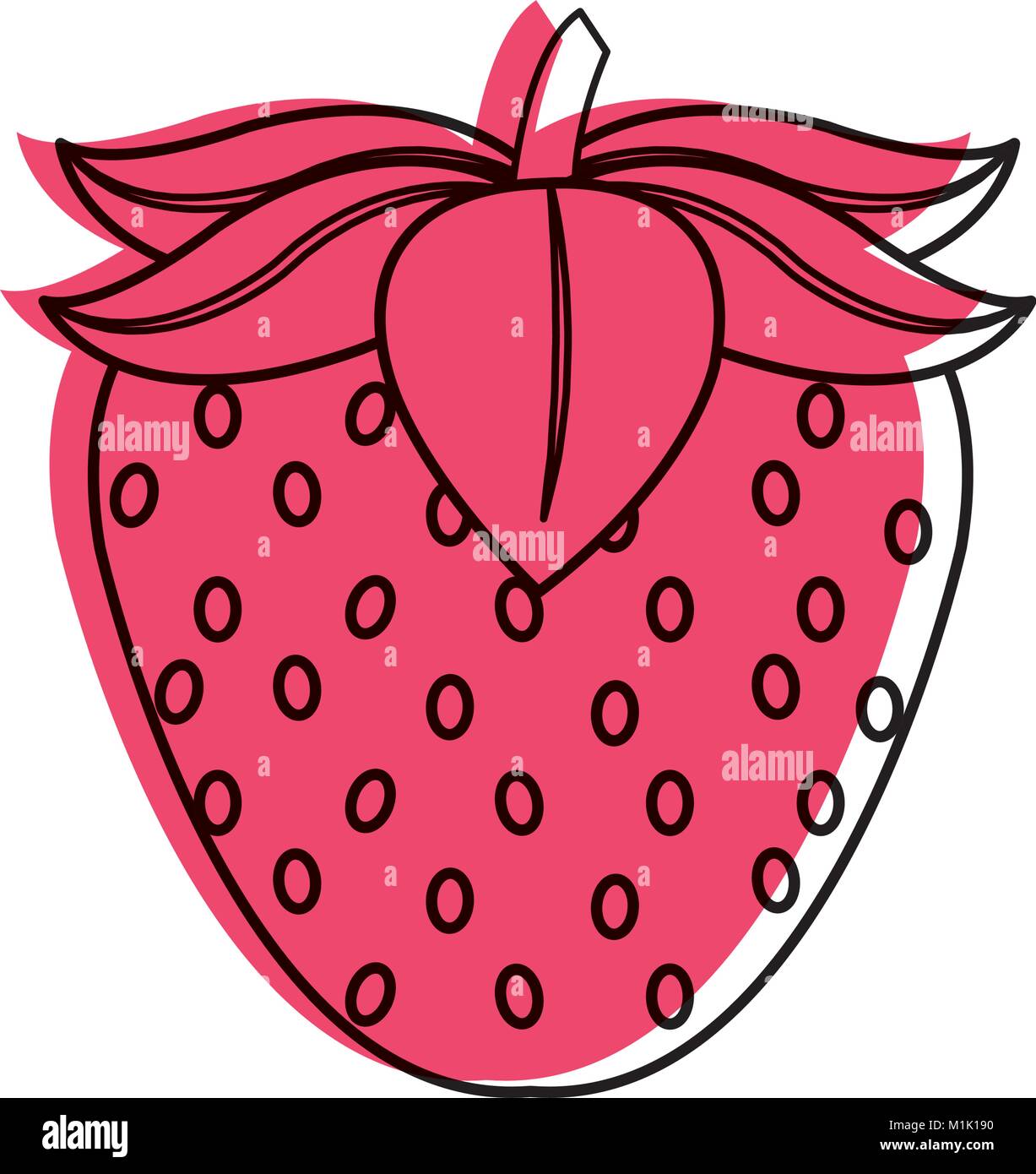 Isolated strawberry design Stock Vector Image & Art - Alamy