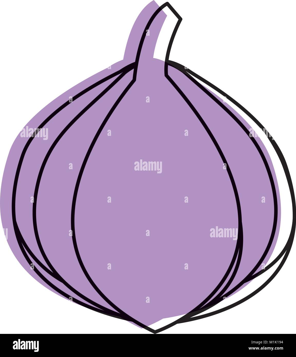 Isolated onion design Stock Vector Image & Art - Alamy