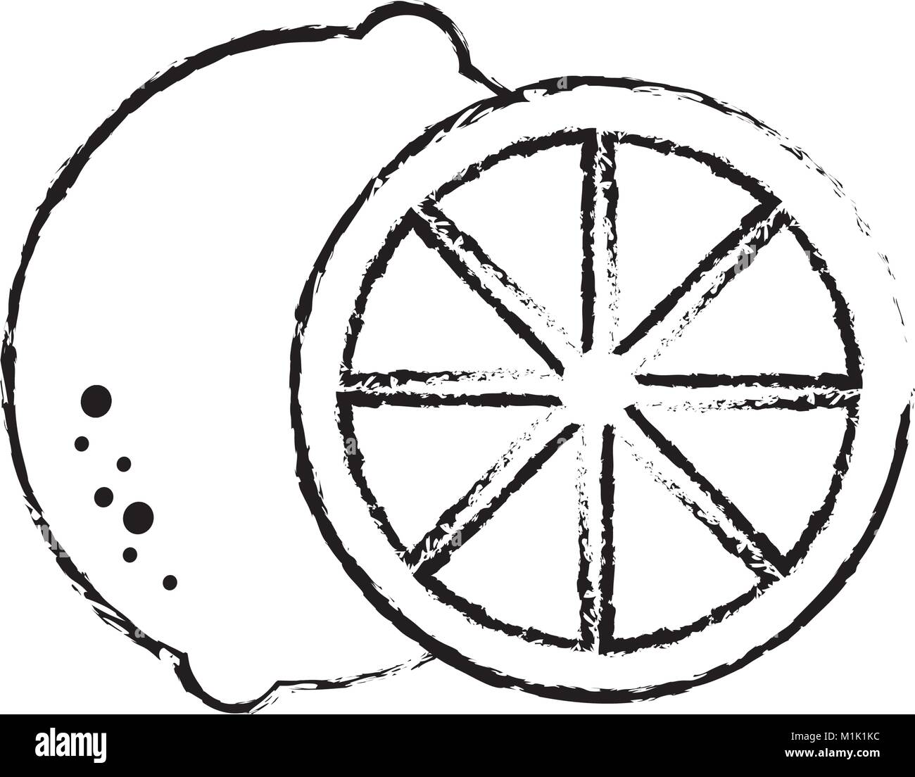 Isolated lemon design Stock Vector Image & Art - Alamy