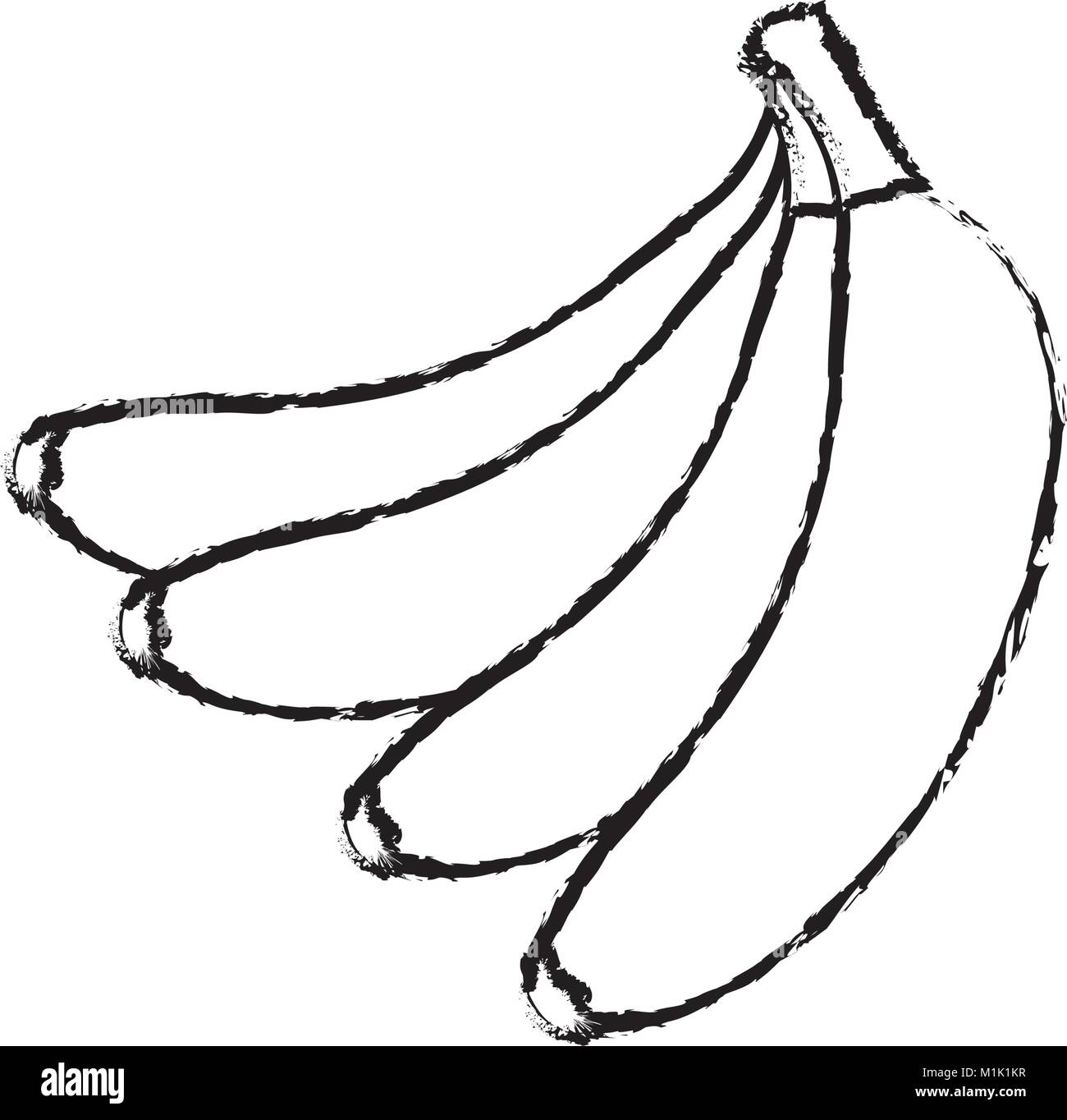 Isolated banana design Stock Vector Image & Art - Alamy