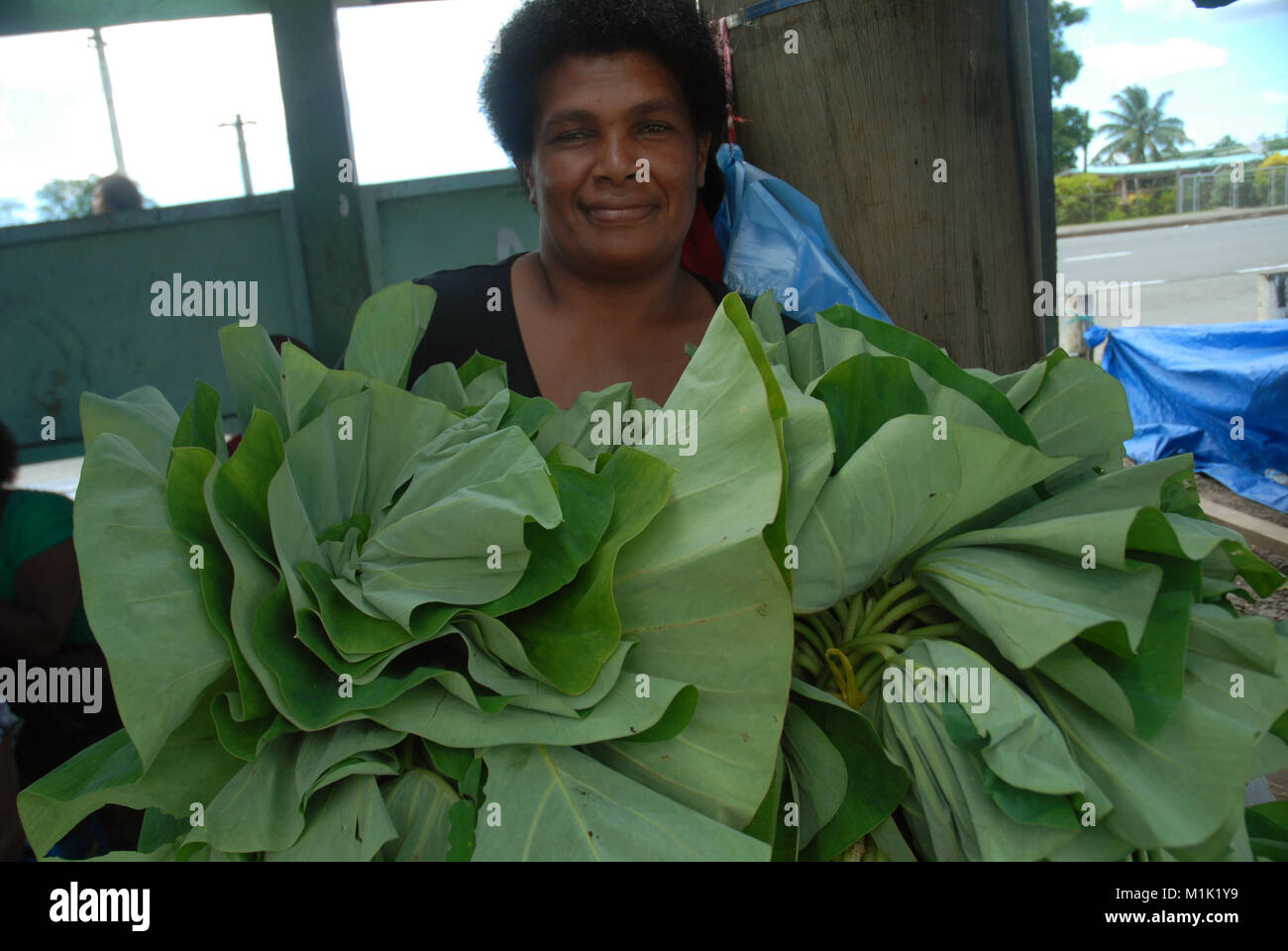 Fruit and Vegetable Market, Suva, Fiji Stock Photo - Alamy