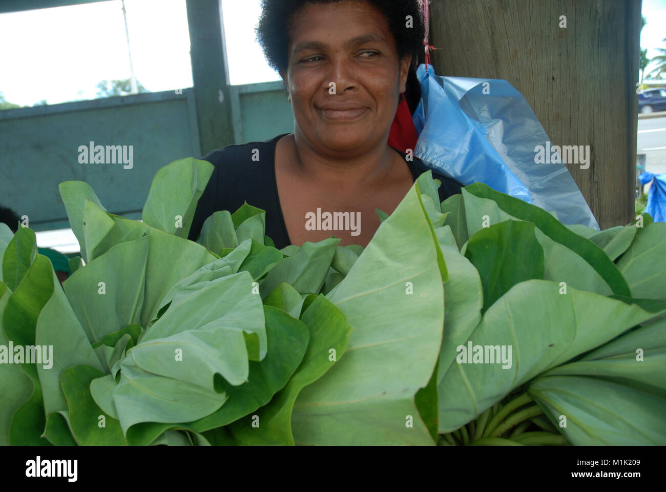 Fruit and Vegetable Market, Suva, Fiji Stock Photo - Alamy