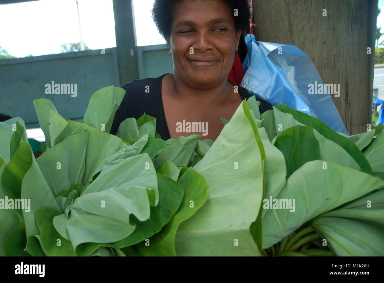 Fruit and Vegetable Market, Suva, Fiji Stock Photo - Alamy