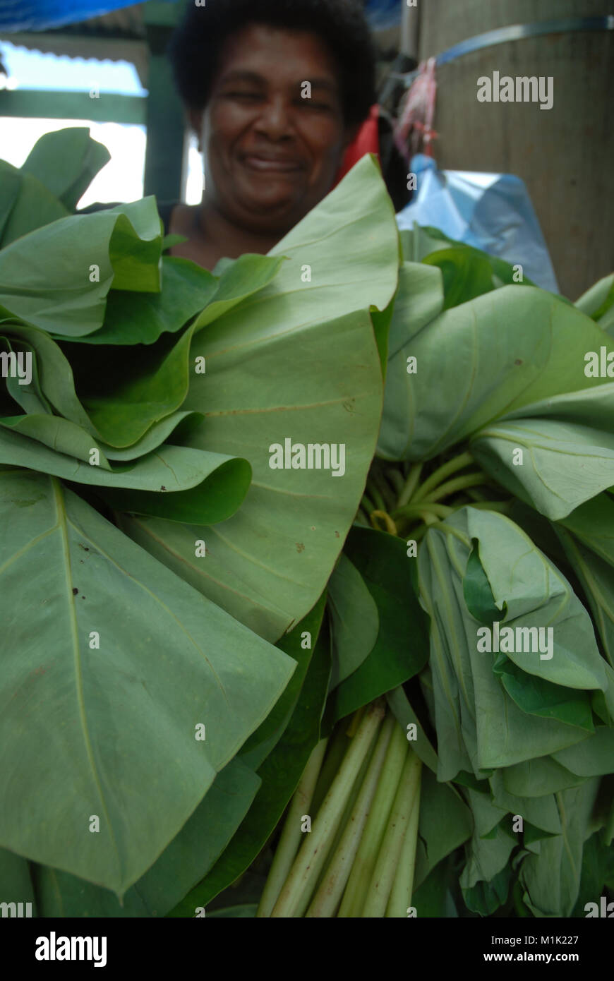 Fruit and Vegetable Market, Suva, Fiji Stock Photo - Alamy