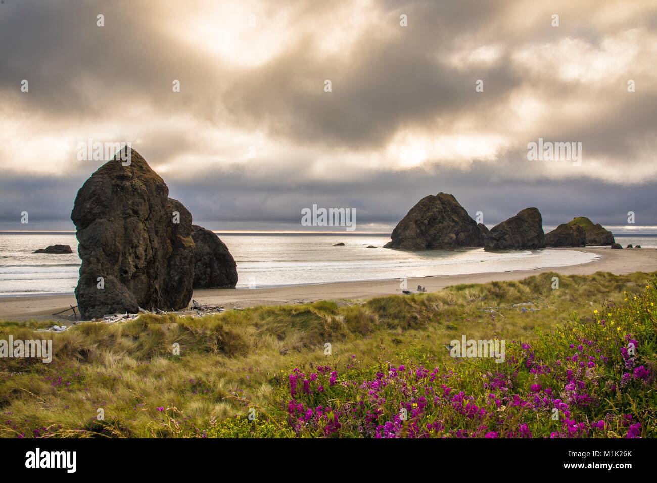 Oregon Coast Landscape Stock Photo - Alamy