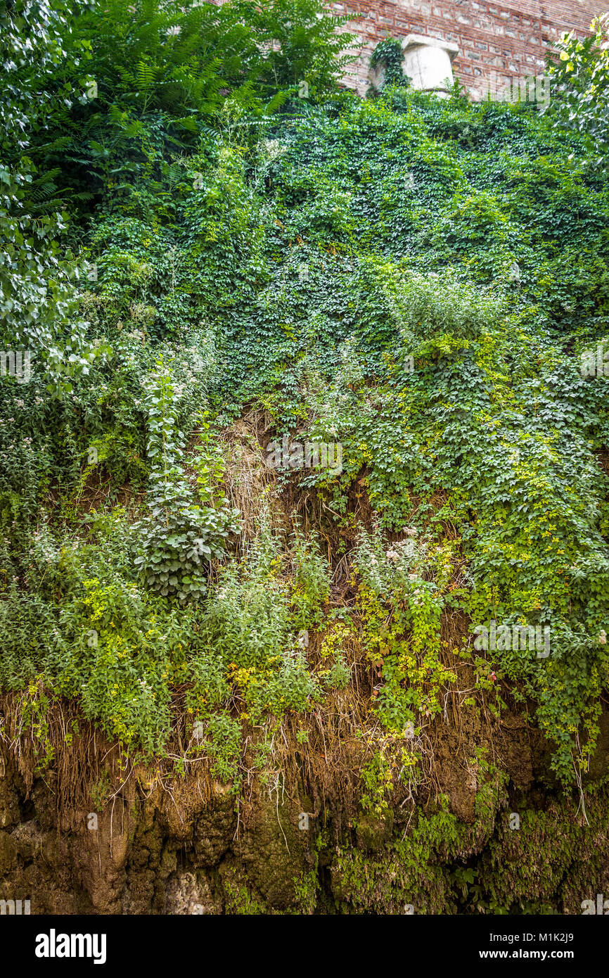 Old ancient stone walls and towers of the fortress Stock Photo - Alamy