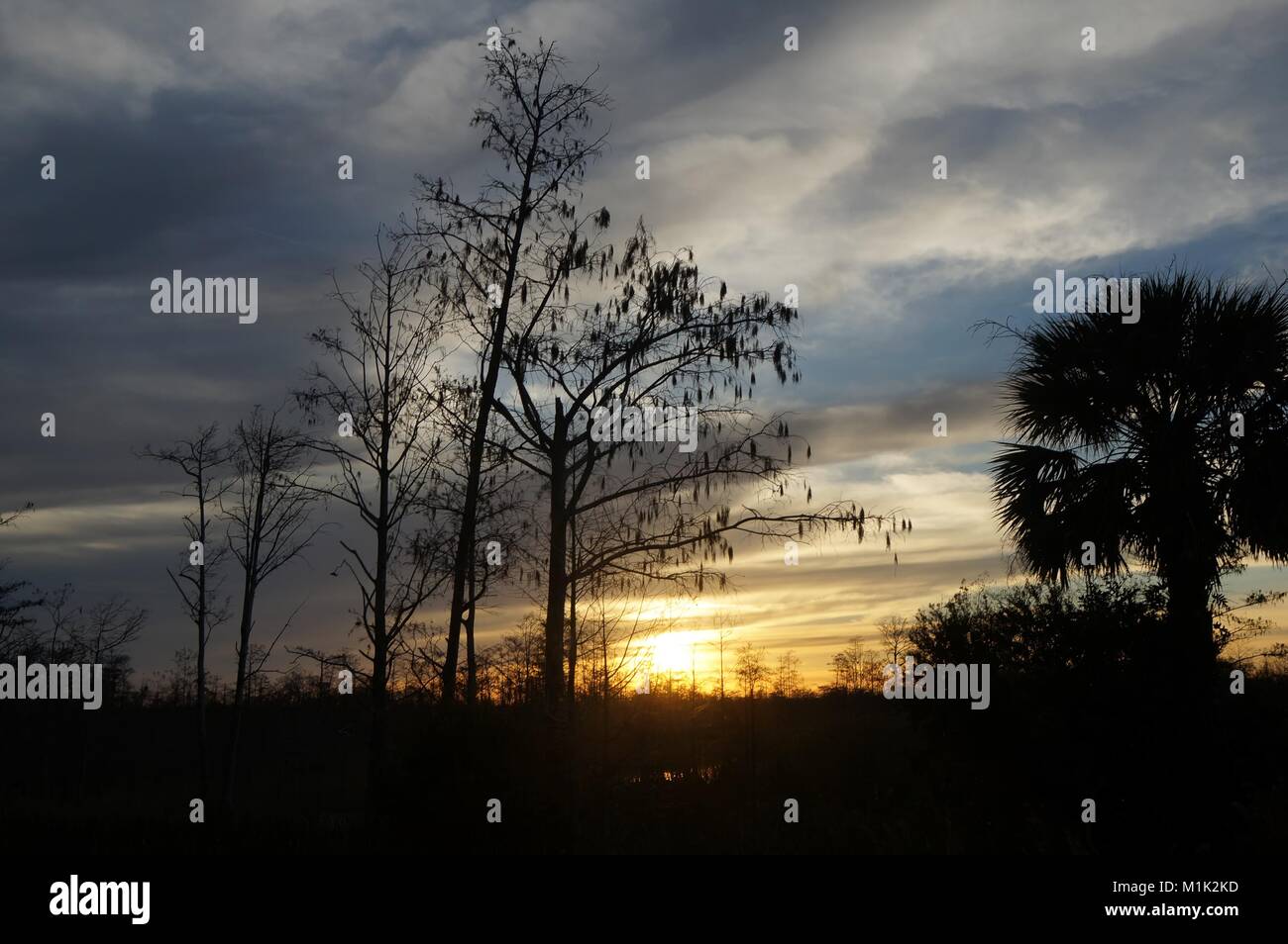 Louisiana Bayou Sunset High Resolution Stock Photography and Images - Alamy