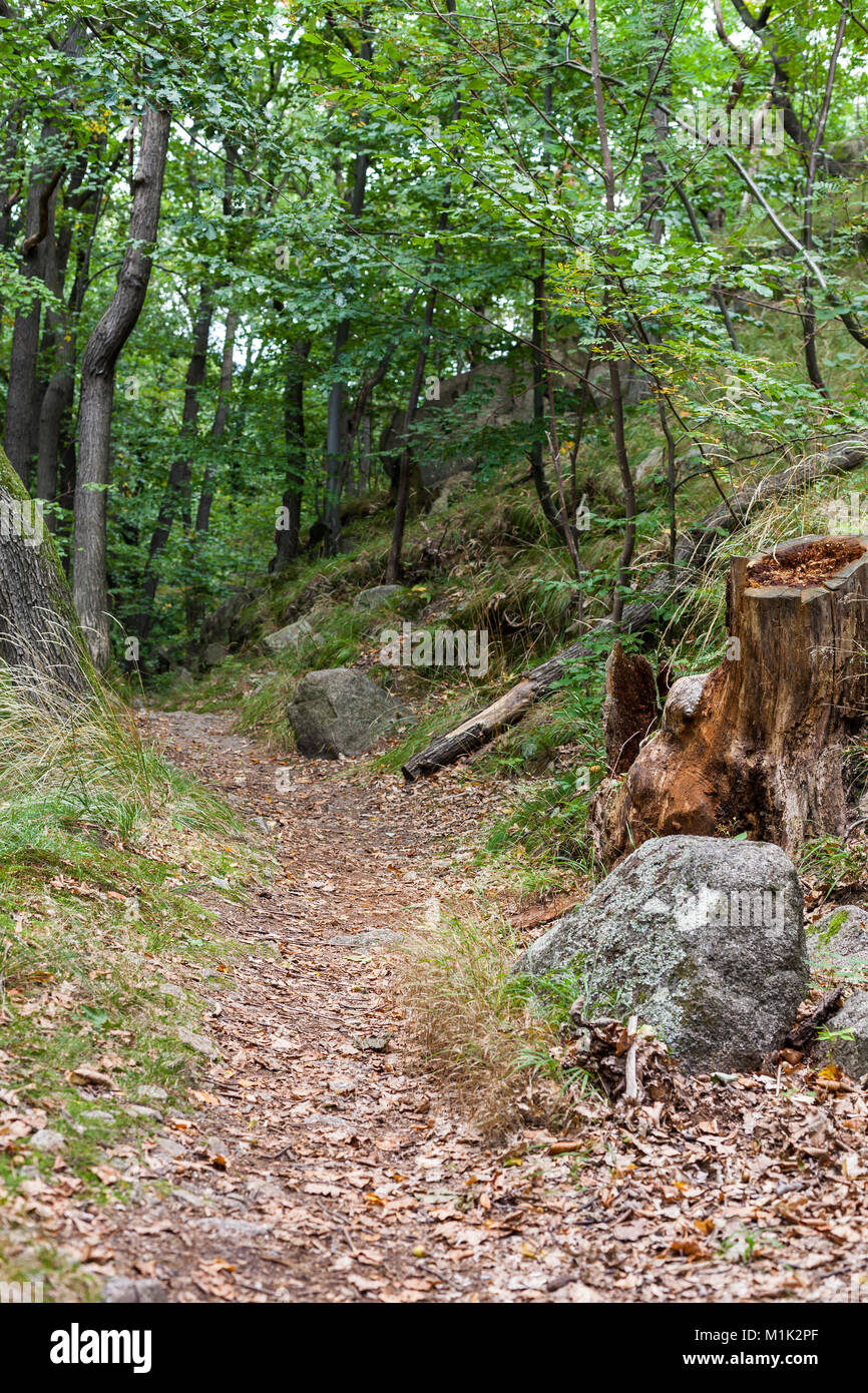 Wanderwege weg wege hi-res stock photography and images - Alamy