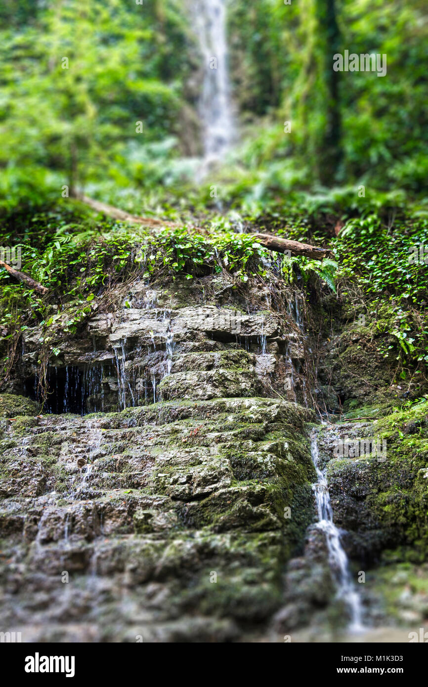 Beautiful small waterfall in wild overgrown places Stock Photo - Alamy