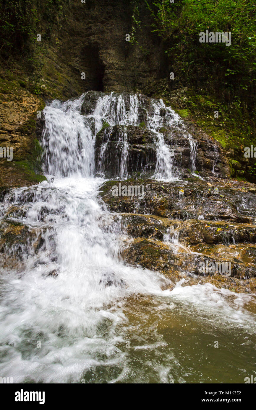 Beautiful small waterfall in wild overgrown places Stock Photo - Alamy