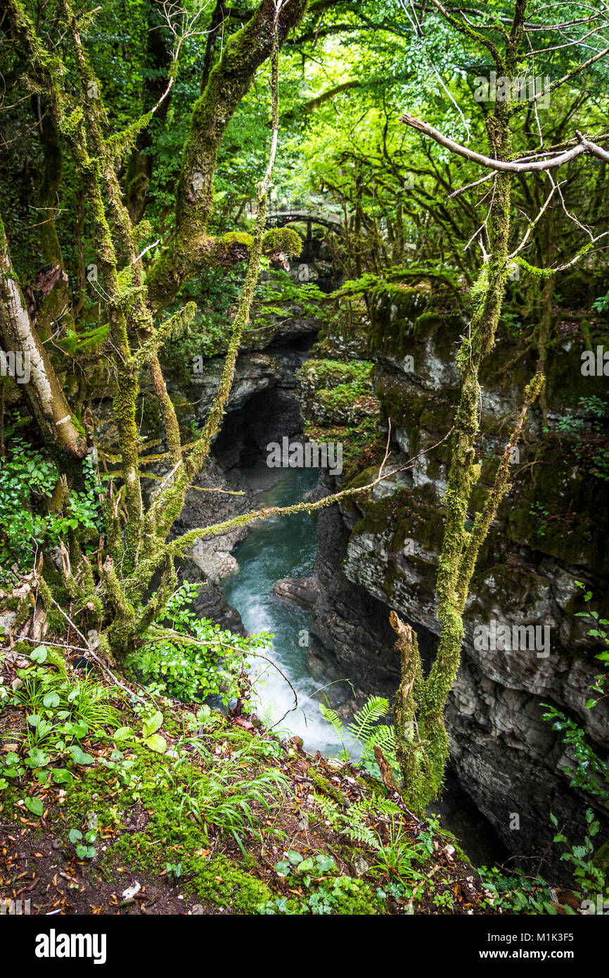 A beautiful mountain river flows in a narrow dark mountain gorge Stock ...