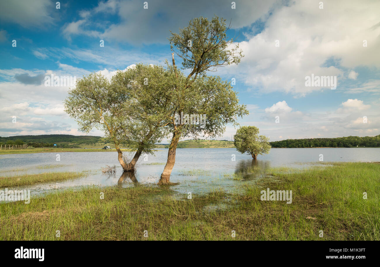 trees and lake Stock Photo - Alamy