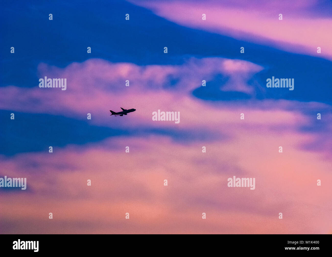 Fly at dusk Stock Photo - Alamy